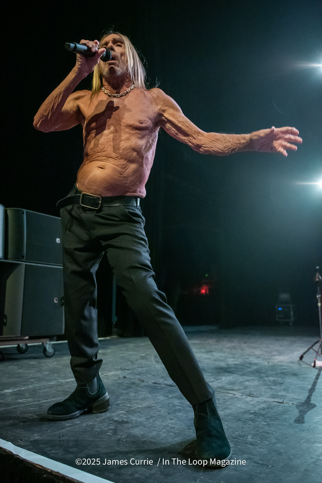 In The Loop Magazine Iggy Is No Stooge As He's Still Selling Out Venues ...