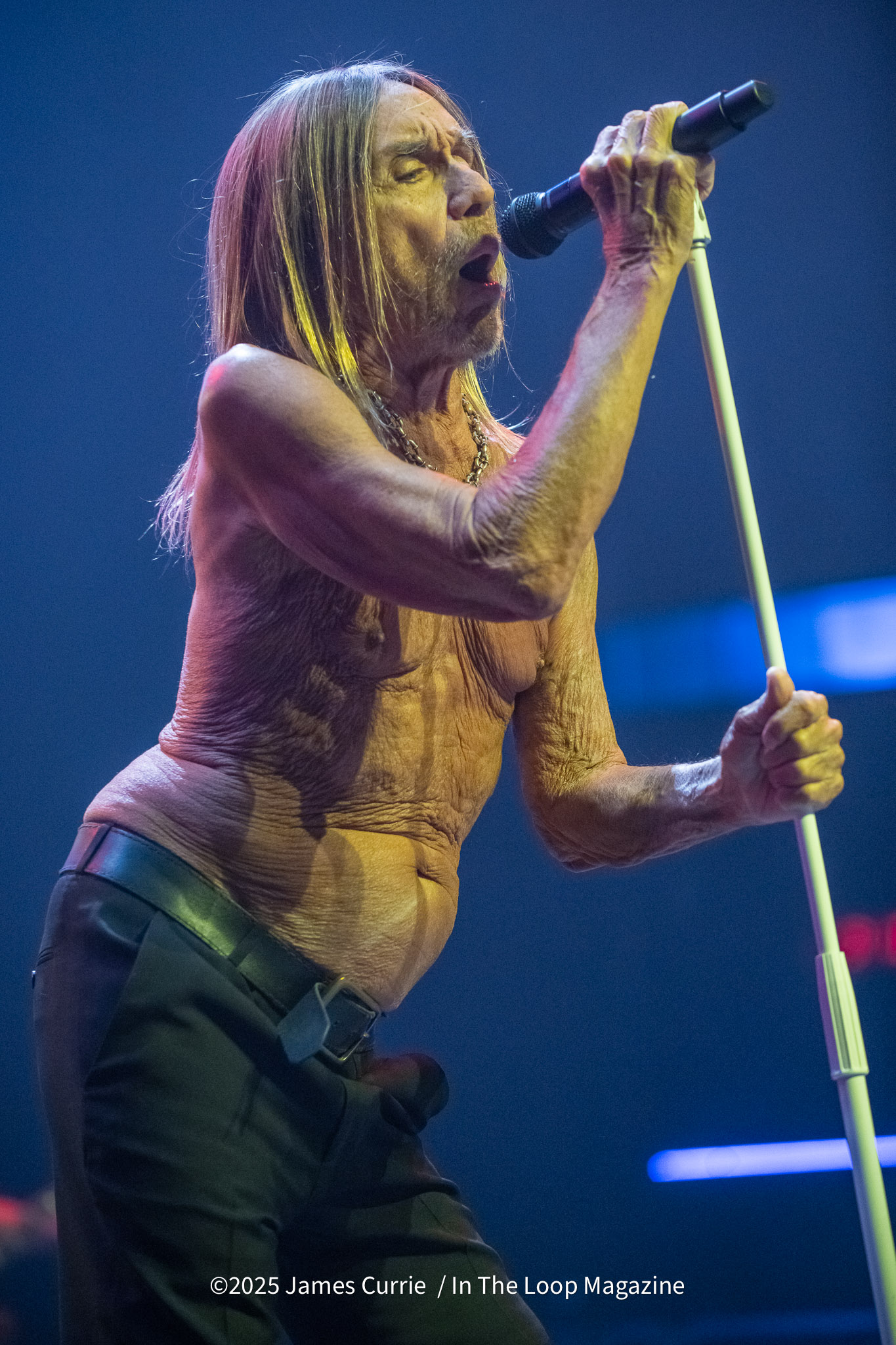 In The Loop Magazine Iggy Is No Stooge As He's Still Selling Out Venues ...